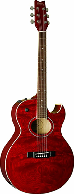 Washburn EA 17 TRK elektro-akustična gitara