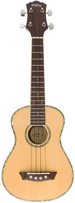 Washburn U30 ukulele