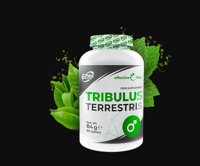 Tribulus Terrestris 90tab 6PAK