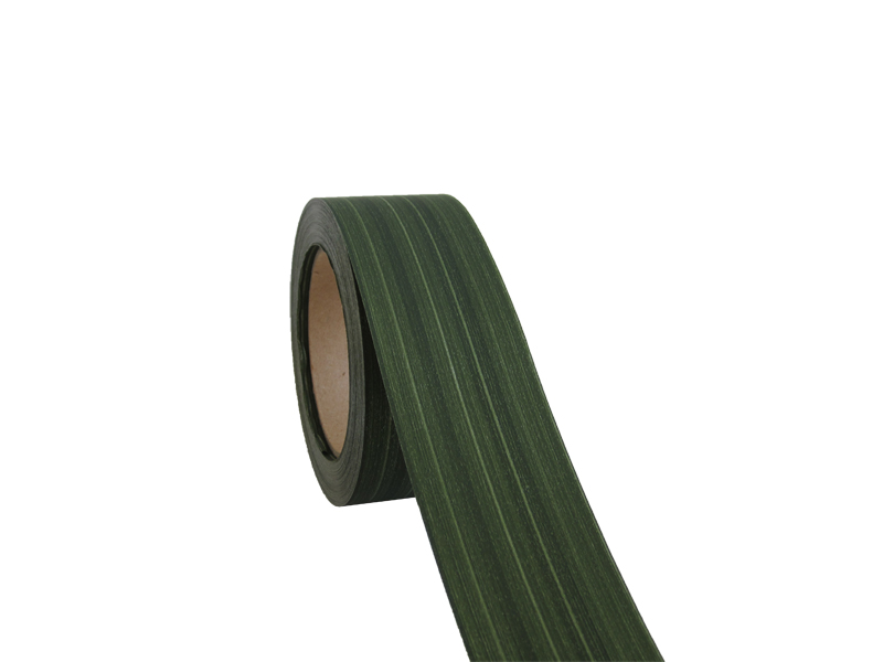 Traka aspidistra, 5cm - zelena