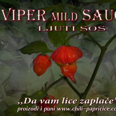 Viper Mild Sauce