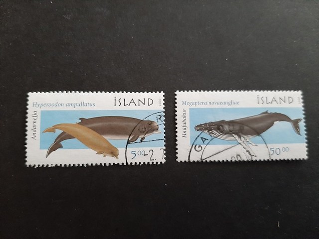 razno island 1 fauna kitovi