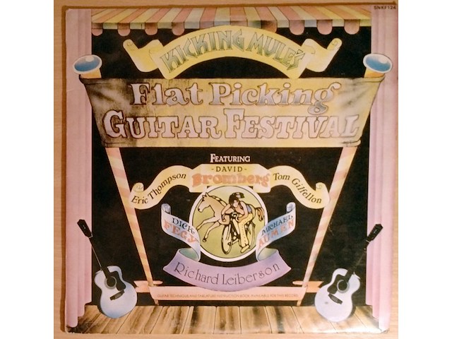 LP V/A - Flat Picking Guitar Festival (1984), PGP, MINT