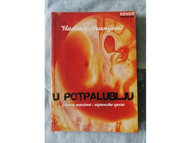 Vladimir Arsenijević - U POTPALUBLJU (Rende, 2004)