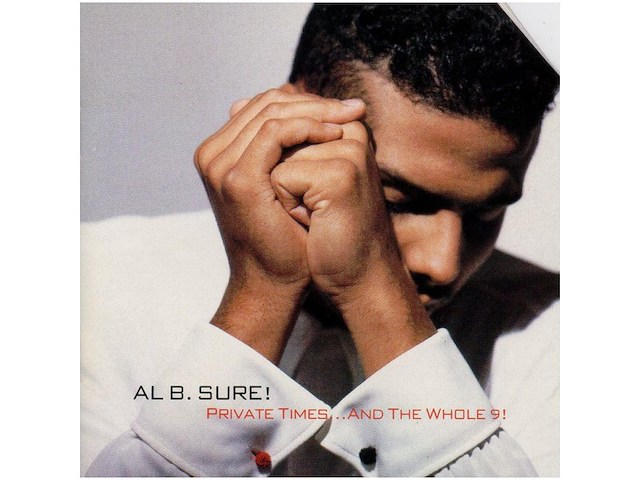 Al B. Sure! ‎– Private Times...And The Whole 9!