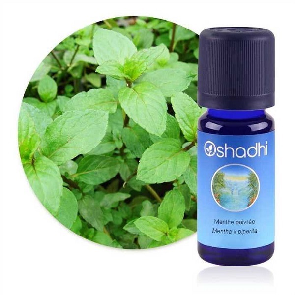 OSHADHI ETERIČNO ULJE MENTA PEPERMINT 10ML