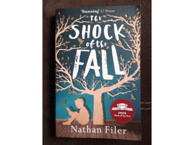 The Shock of The Fall,Nathan Filer