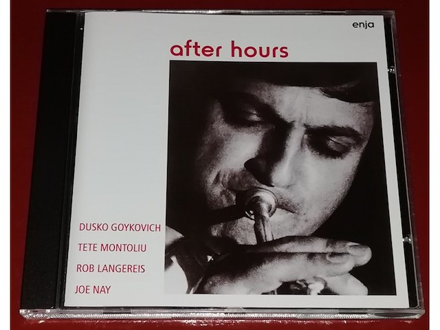 Duško Gojković ‎– After Hours