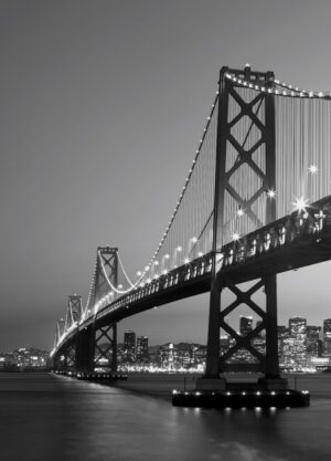 San Francisco Skyline 00387 183×254