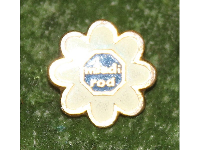 PČELARSKA-MLADI ROD KRANJ.