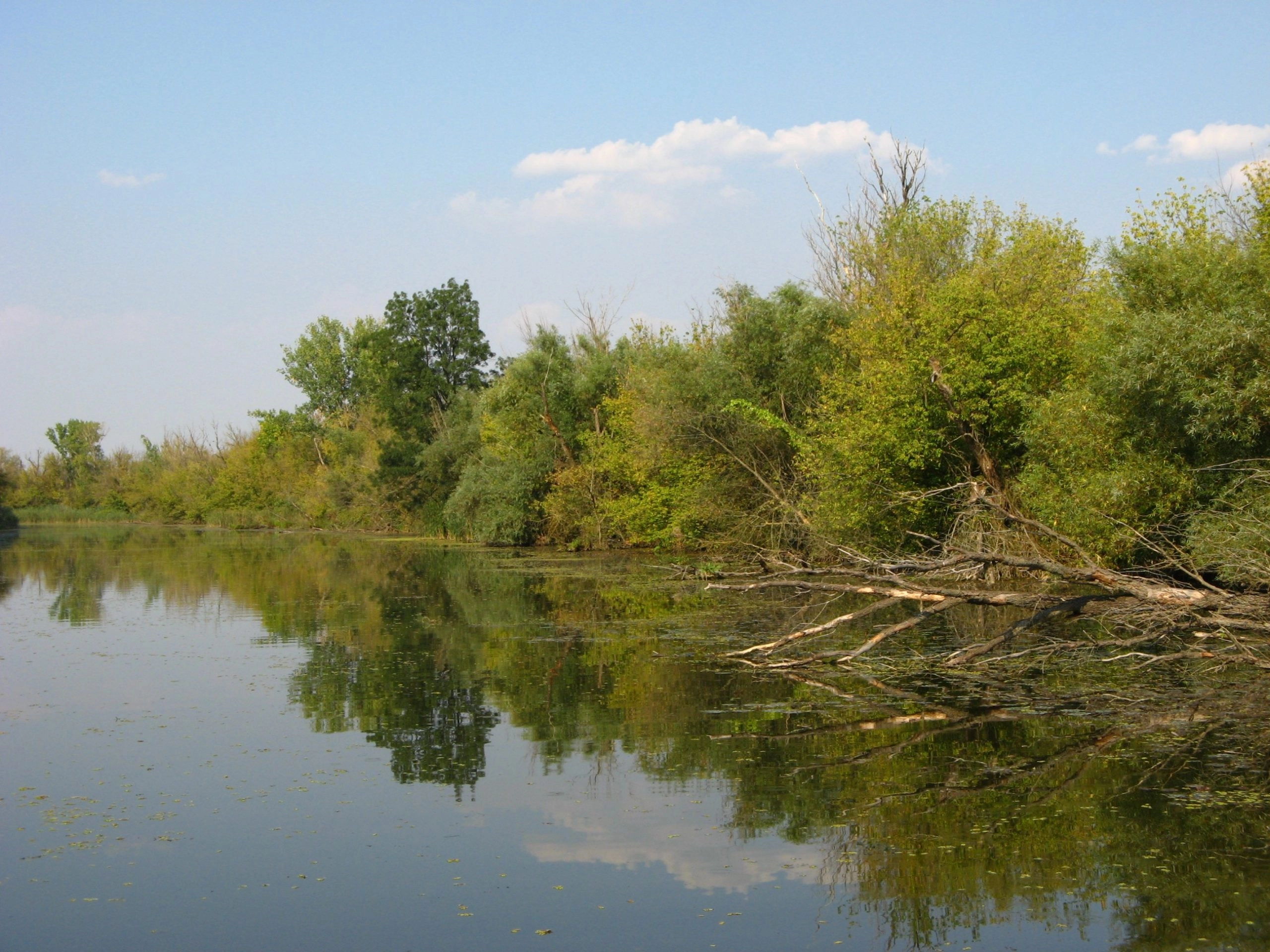 Krstarenje Zrenjenin