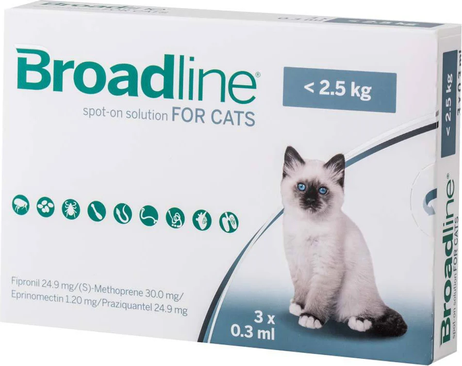 Broadline Small Cats