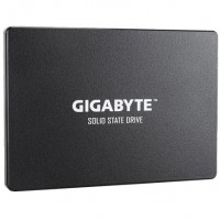 256 GB Gigabyte GP-GSTFS30256GTTD