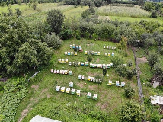 Prodaja pčelinjih društava i rojeva