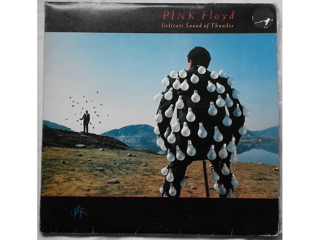 PINK  FLOYD  -  2LP Delicate  sound  of  thunder