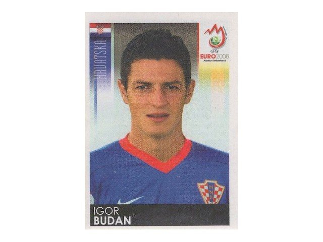 EURO 2008 sličica broj 199, Panini