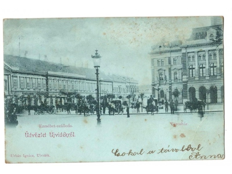 Novi Sad - Ujvidek - 1900 - stara razglednica