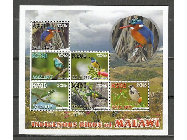mn Malawi 2016. Ptice,cist blok