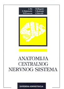 Anatomija čoveka: CNS