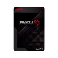 256 GB Geil GZ25R3-256G