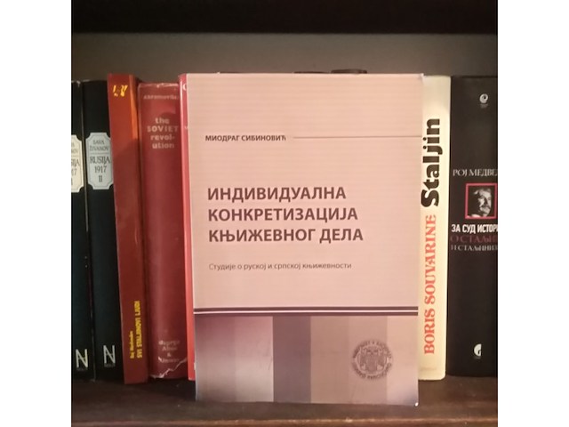 Individualna konkretizacija knjizevnog dela Miodrag Sib