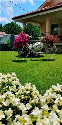 Starinski bicikl za cvece