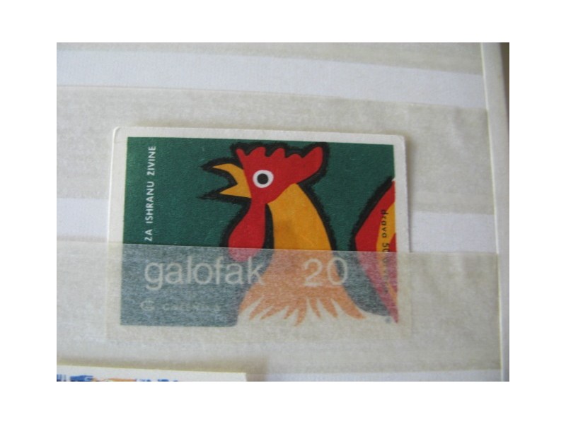 FILUMENIJA-RETKI KOMADI-GALOFAK 20
