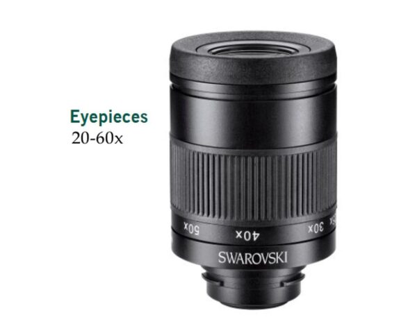 Swarovski 20-60x Eyepiece