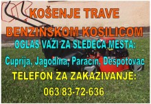 Benzinska motorna kosilica - košenje trave