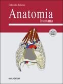 Anatomia humana