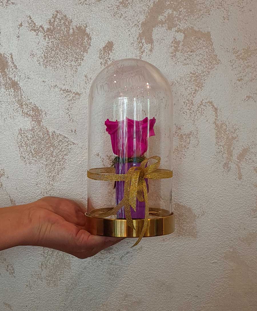 Dehidrirana ruža u zvonu – Ljubičasta