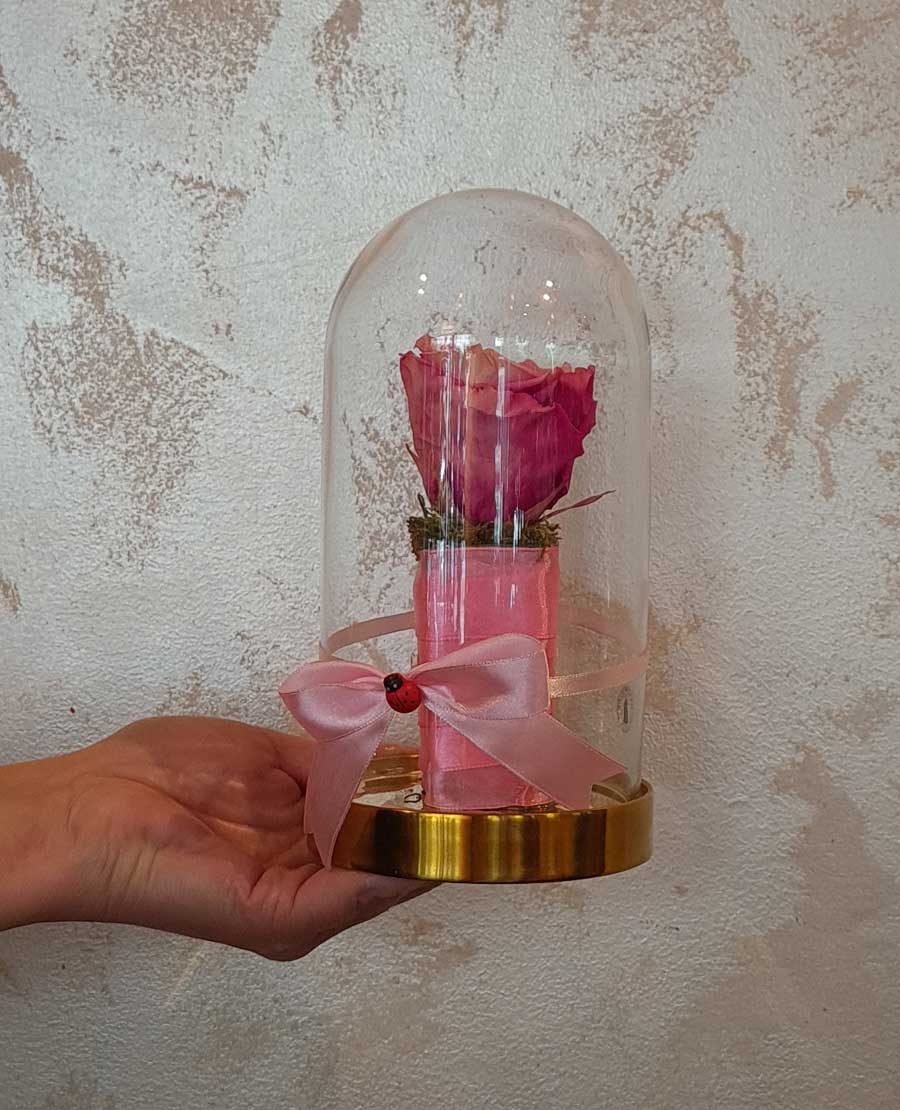 Dehidrirana ruža u zvonu – Roza