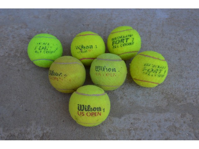 Dunlop Fort all Court i Wilson US open 7 Loptica