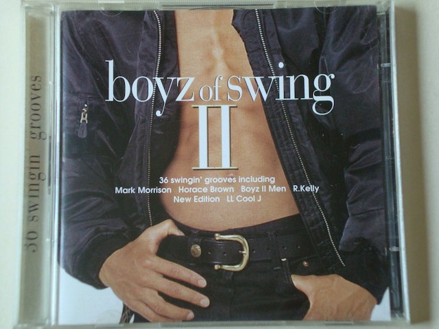 Boyz Of Swing II [Various Artists] 2xCD