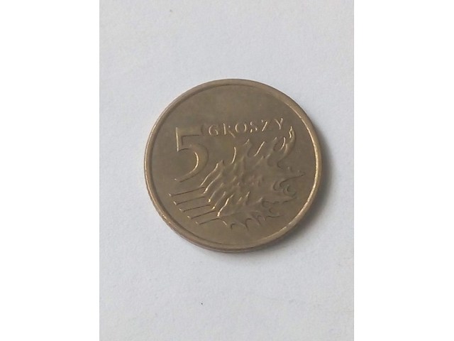 5 Groša 2008.g - Poljska -