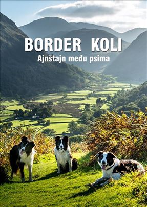 Border koli Ajnstajn medju psima