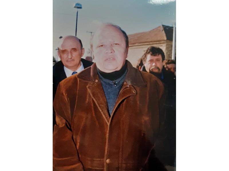 Dobrivoje Budimirovic Bidza - Politicar