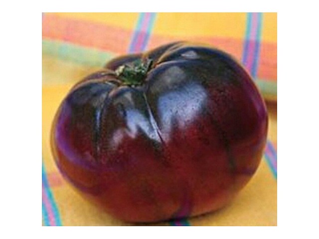 Seme crnog Ruskog paradajza ~ Black Brandewine~