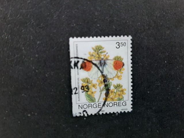 Razno norveska 54 leptir