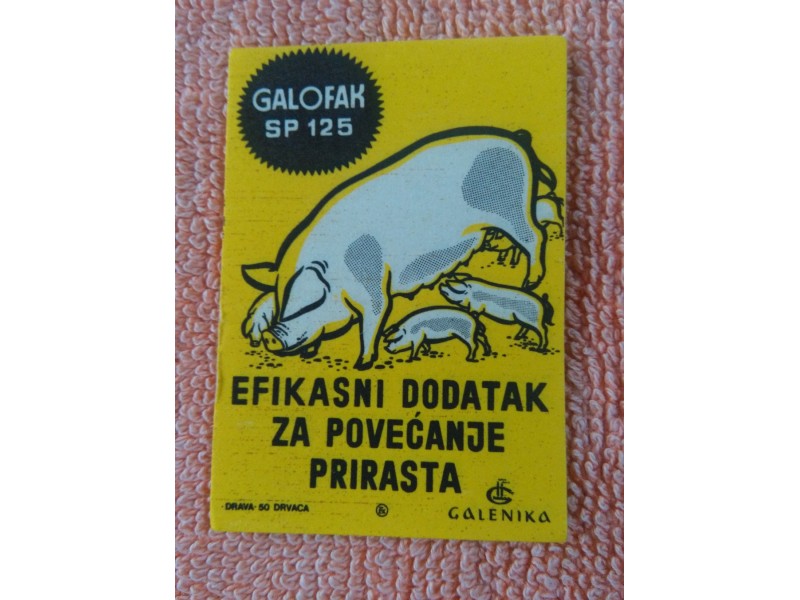 FILUMENIJA