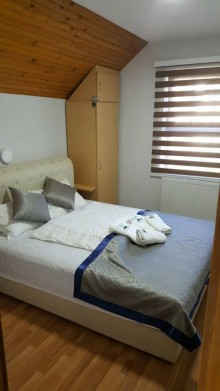 Apartmani baneks zlatibor