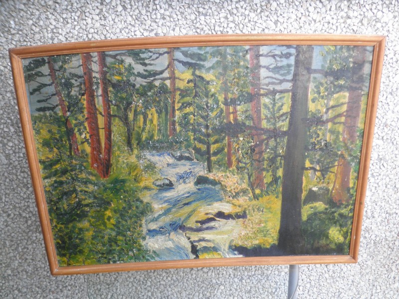 ULJE NA PLATNU 56 X 39 CM - MARKOVIC