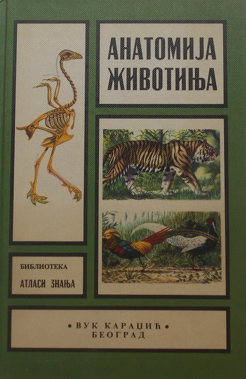 Anatomija životinja atlasi znanja