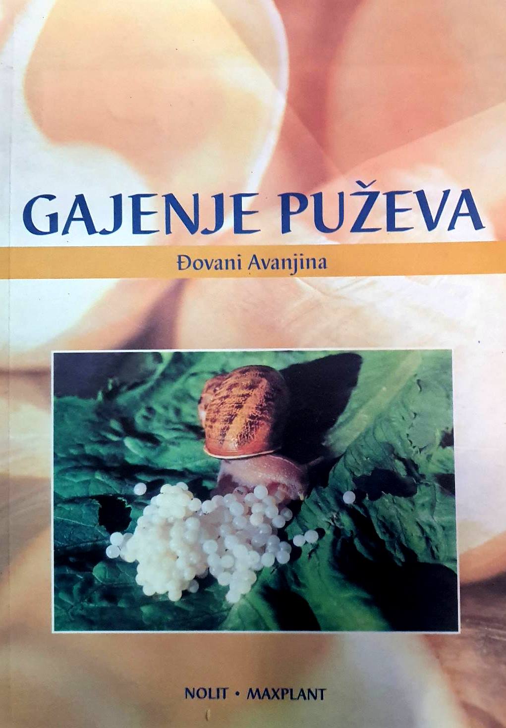 Gajenje puževa