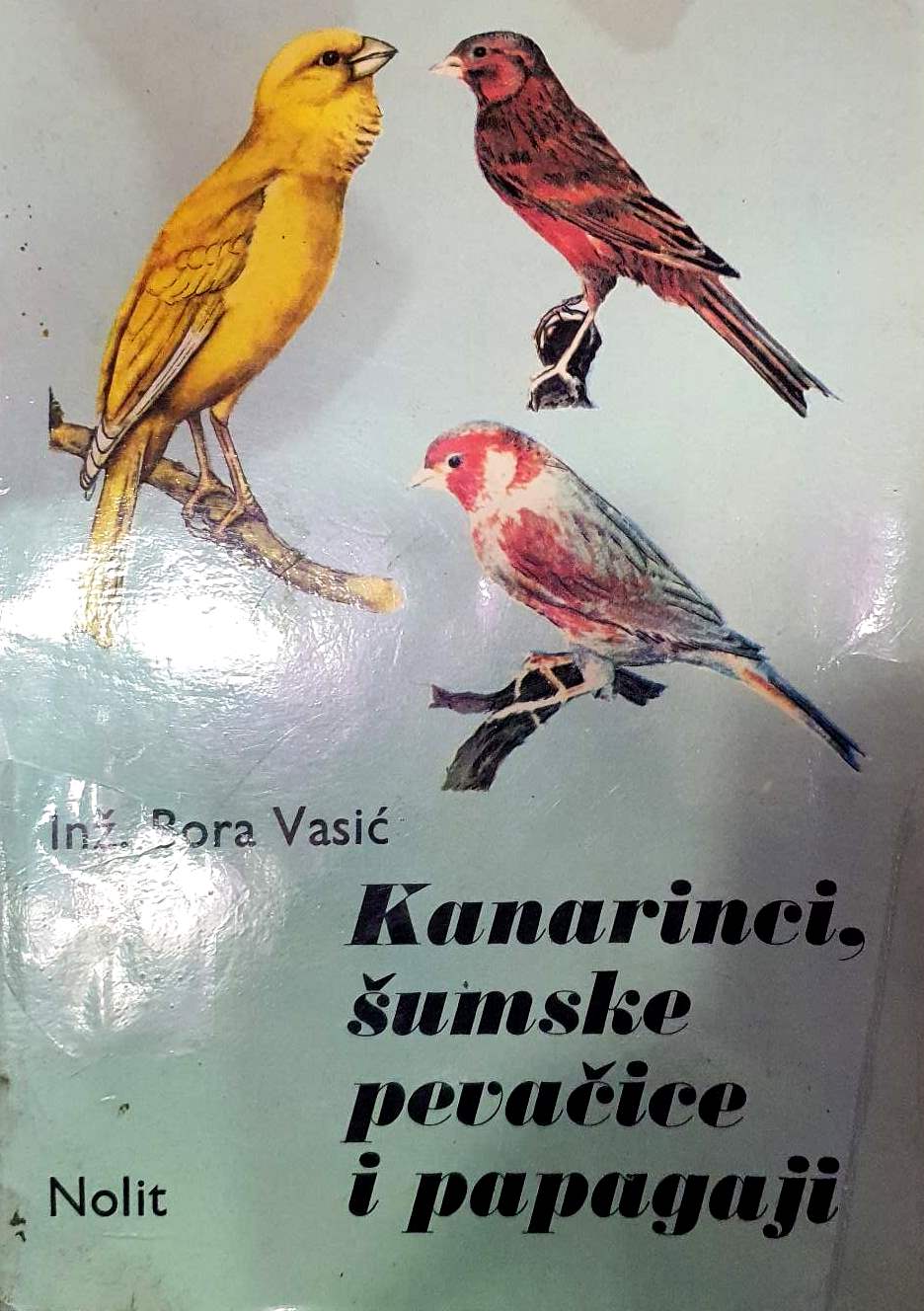 Kanarinci, šumske pevačice i papagaji