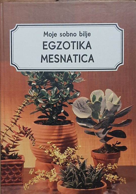 Moje sobno bilje – egzotika mesnatica