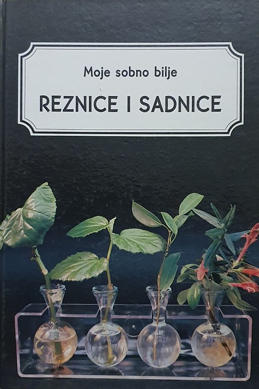 Moje sobno bilje – reznice I sadnice