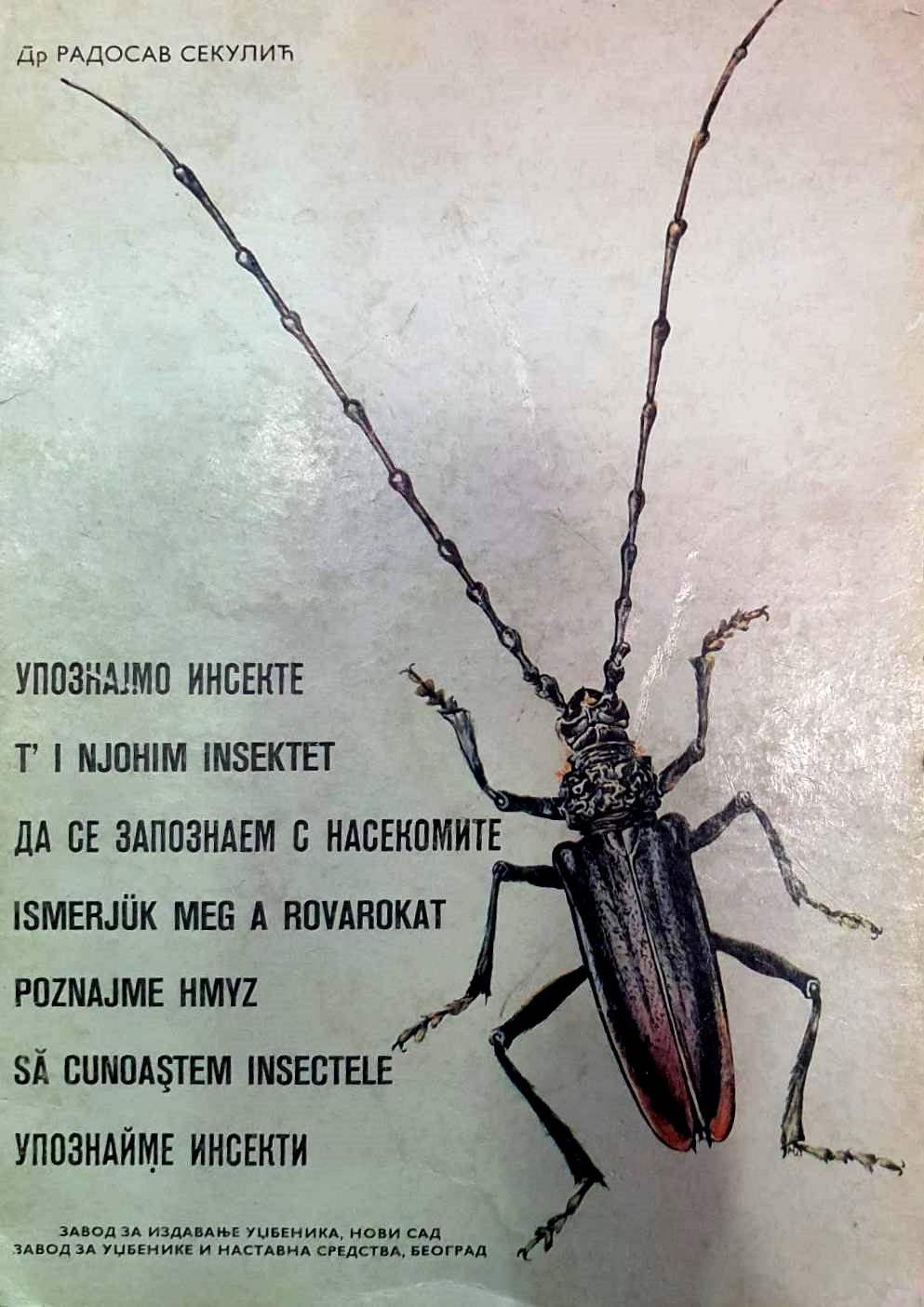 Upoznajmo insekte