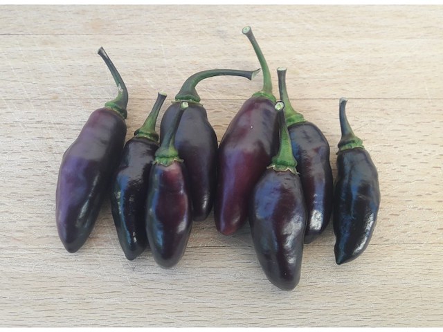 Pimenta de Neyde - Chili pepper 20 semenki