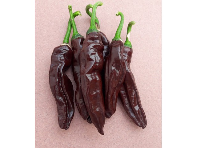 Ecuadorian Brown - Chili pepper 20 semenki